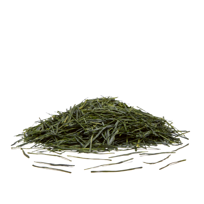 Sencha – Jing Tea